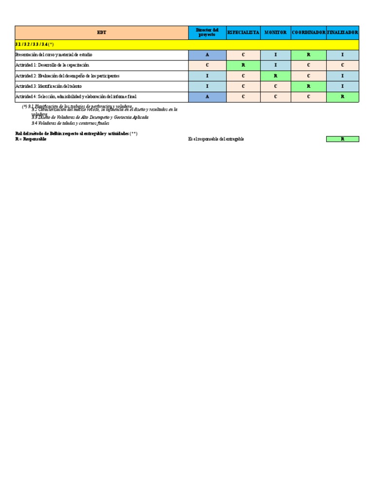 Matriz RAM y Organigrama. Roles Belbin 121221 | PDF