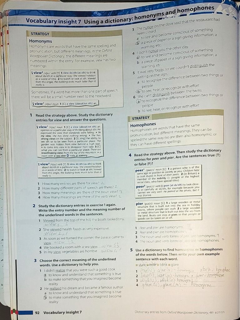 Insight Vocabulary 7 | PDF