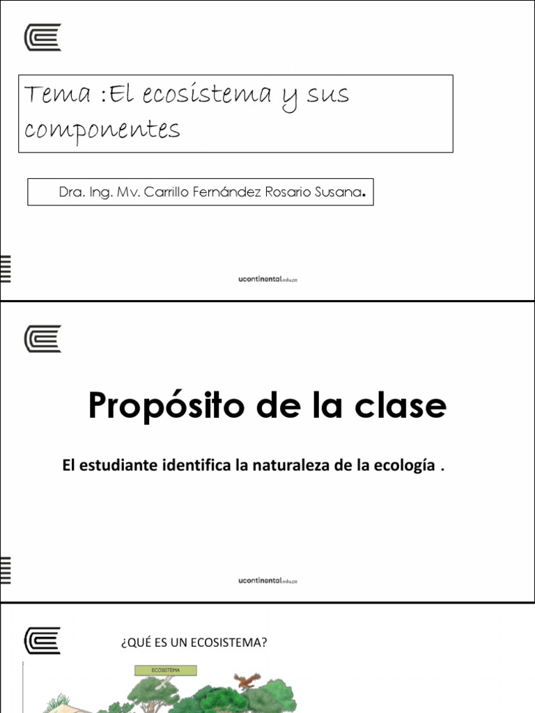Ecosistemas y Sus Componentes | PDF | Ecología | Ecosistema