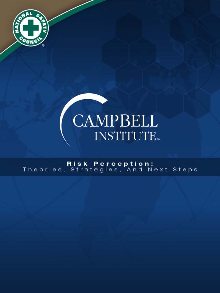 Theories, Strategies, and Next Steps: Risk Perception | PDF | Risk | Safety