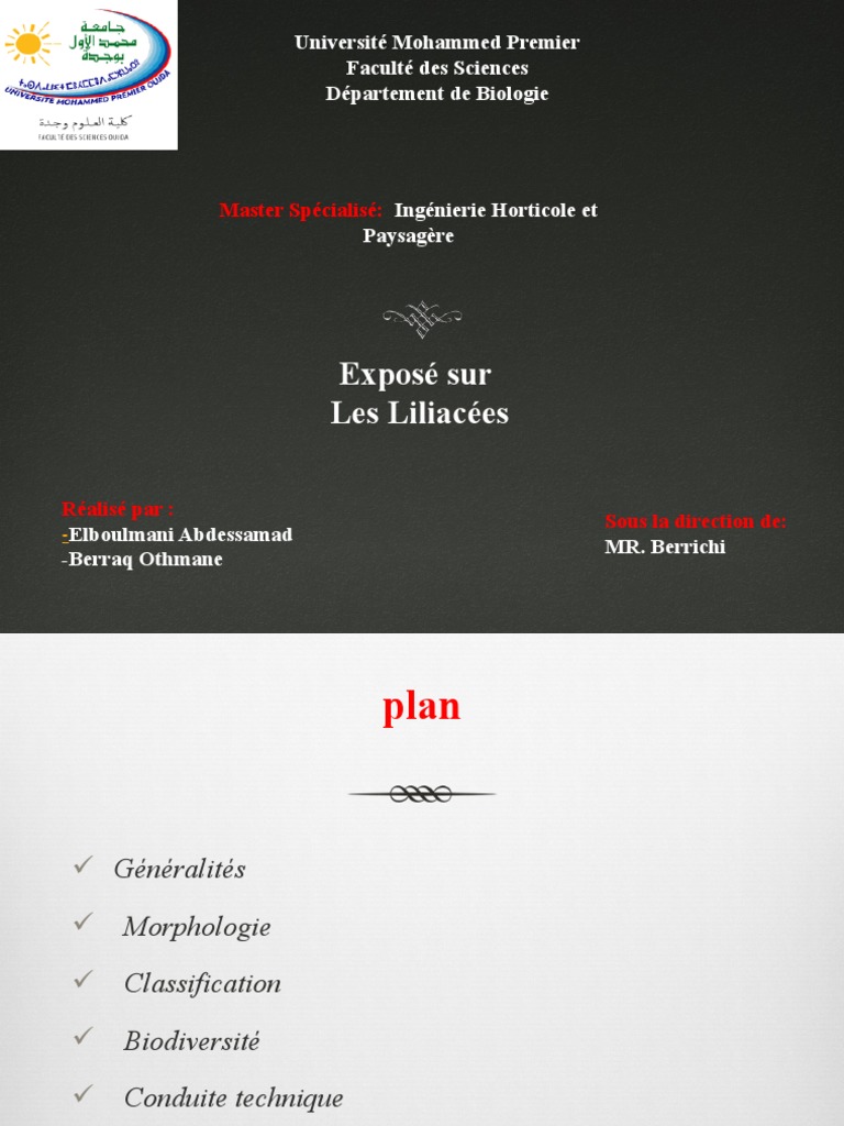 Othmane Et Abd Sa-3 | PDF | Tulipe | Lilium