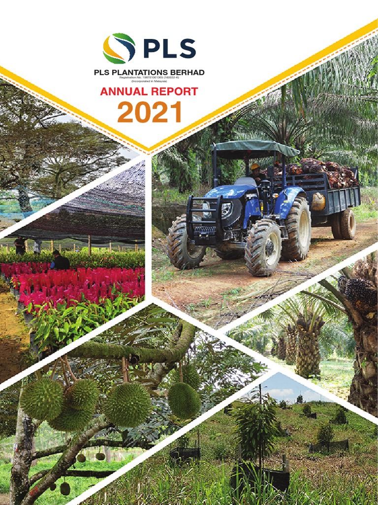 PLS Plantations Berhad - Annual Report 2021 | PDF | Business | Economies