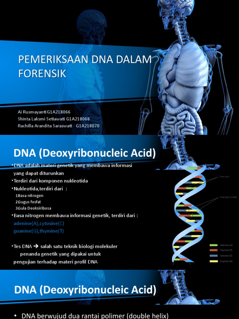 Pemeriksaan Dna Dalam Forensik | PDF