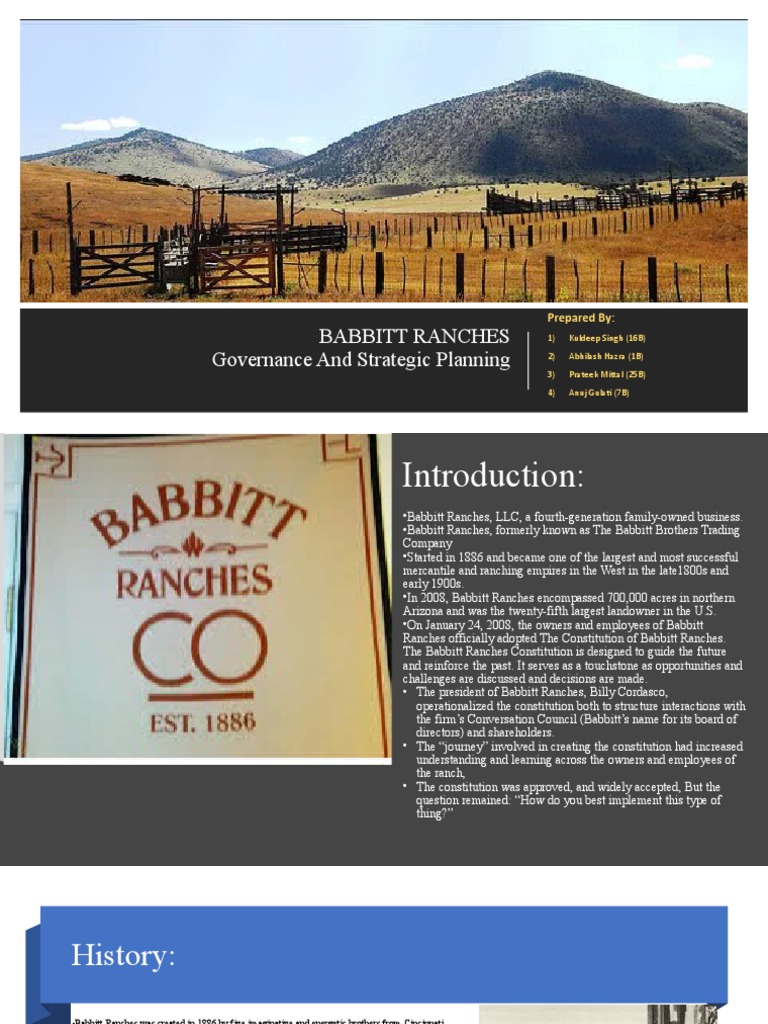 Babbitt Ranches Governance and Strategic Planning: Prepared by ...