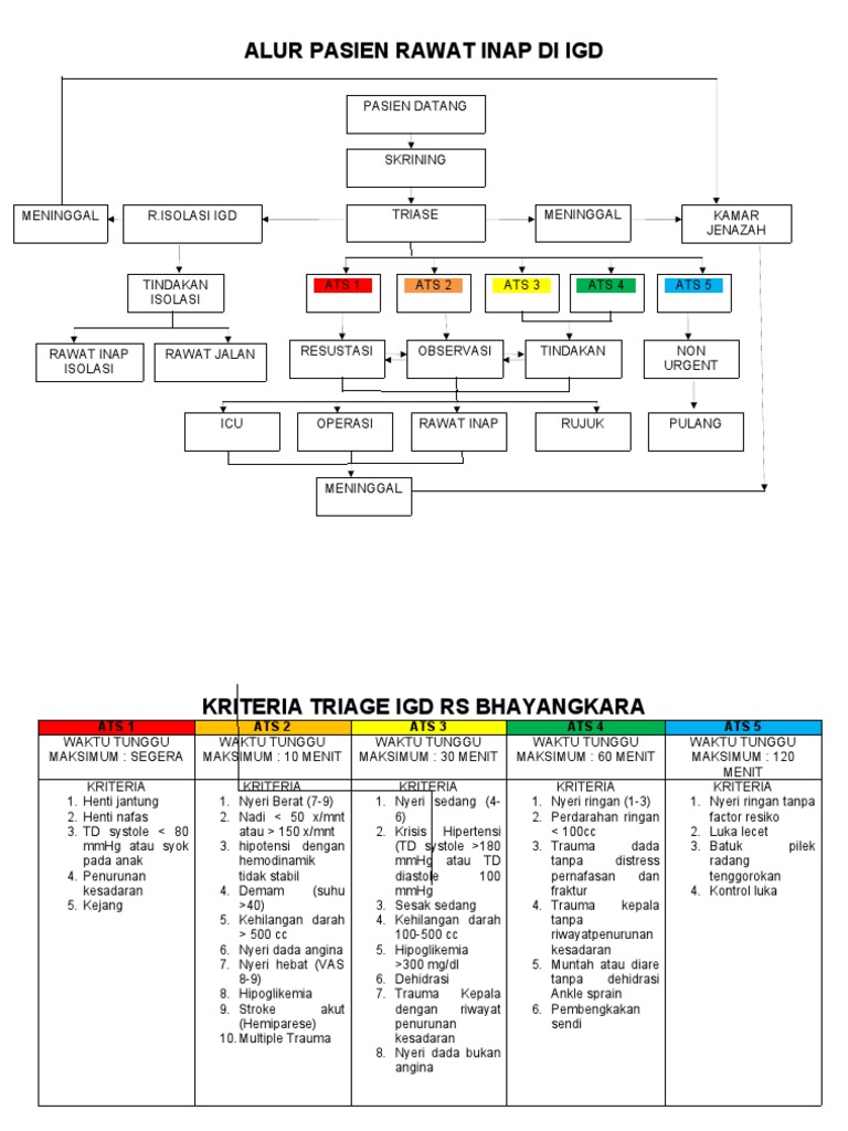 TRIAGE PROSES PASIEN DI IGD | PDF