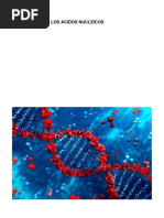 Qué Es FRUTENZIMA y para Qué Sirve | PDF | Páncreas | Órgano (anatomía)