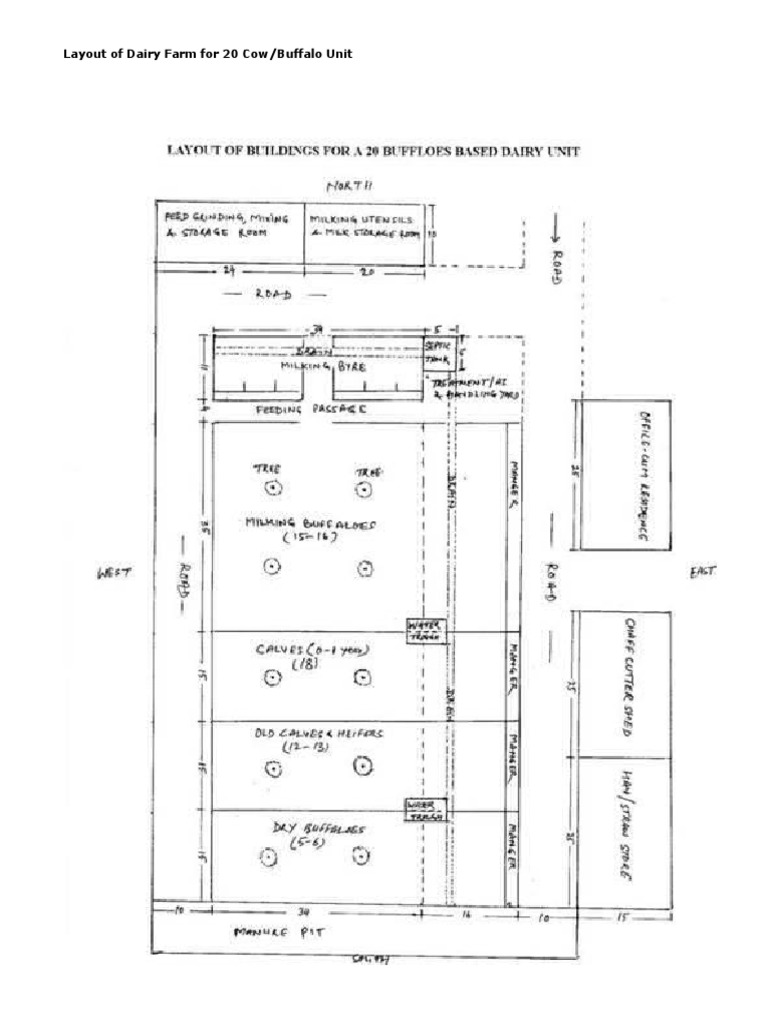 Layout of Dairy Farm For 20 Cow | PDF | Dairy | Milk