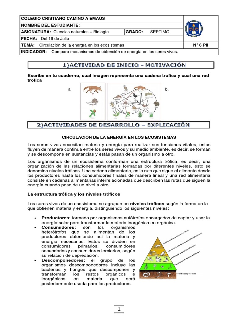 Ciencias Naturales-Biologia 7° #61 | PDF | Red alimentaria | Química