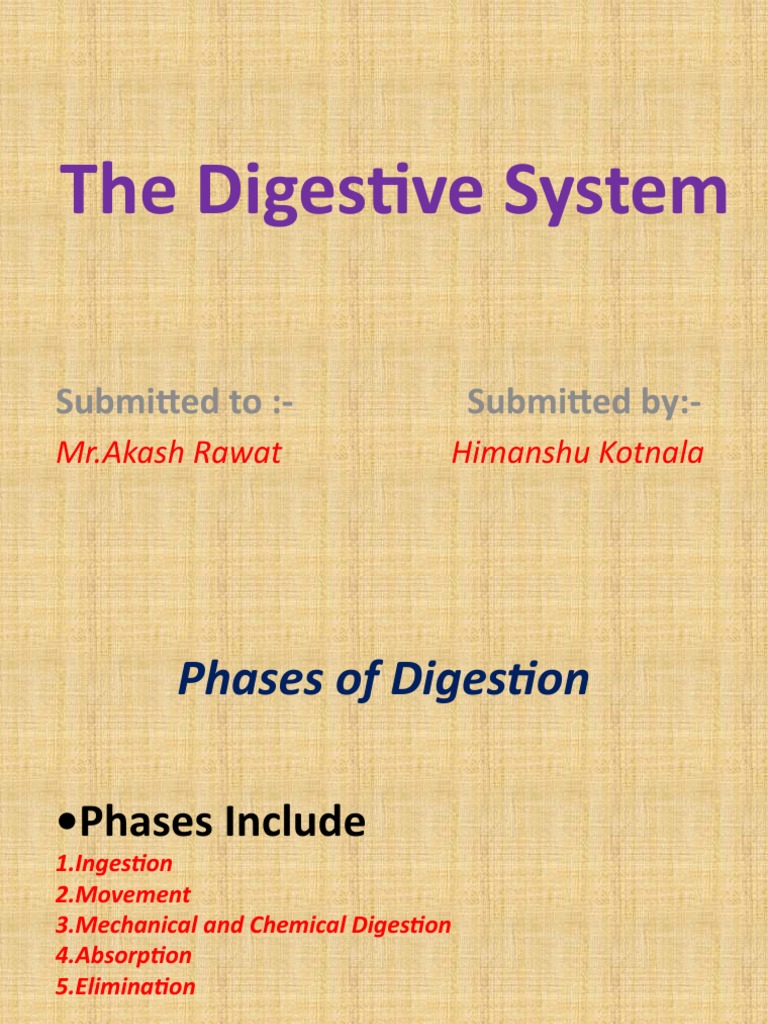 Phases and Functions of the Digestive System | PDF | Human Digestive ...