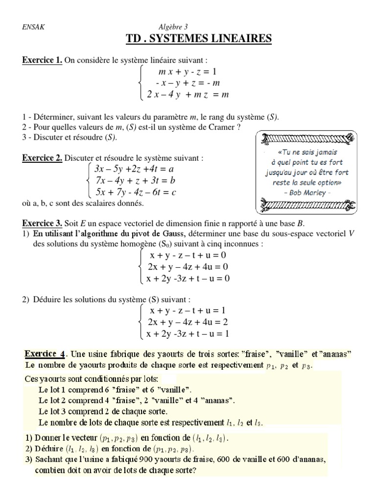 Exercices sur systèmes linéaires | PDF