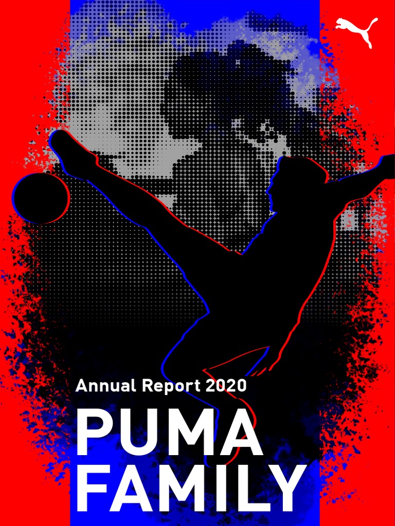 PUMA Annual Report 2020 | PDF | Board Of Directors | Audit