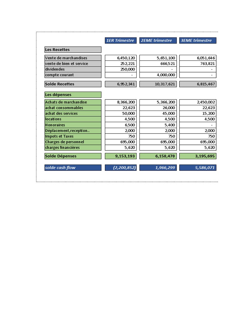 Tableau de Cash Flow Excel | PDF