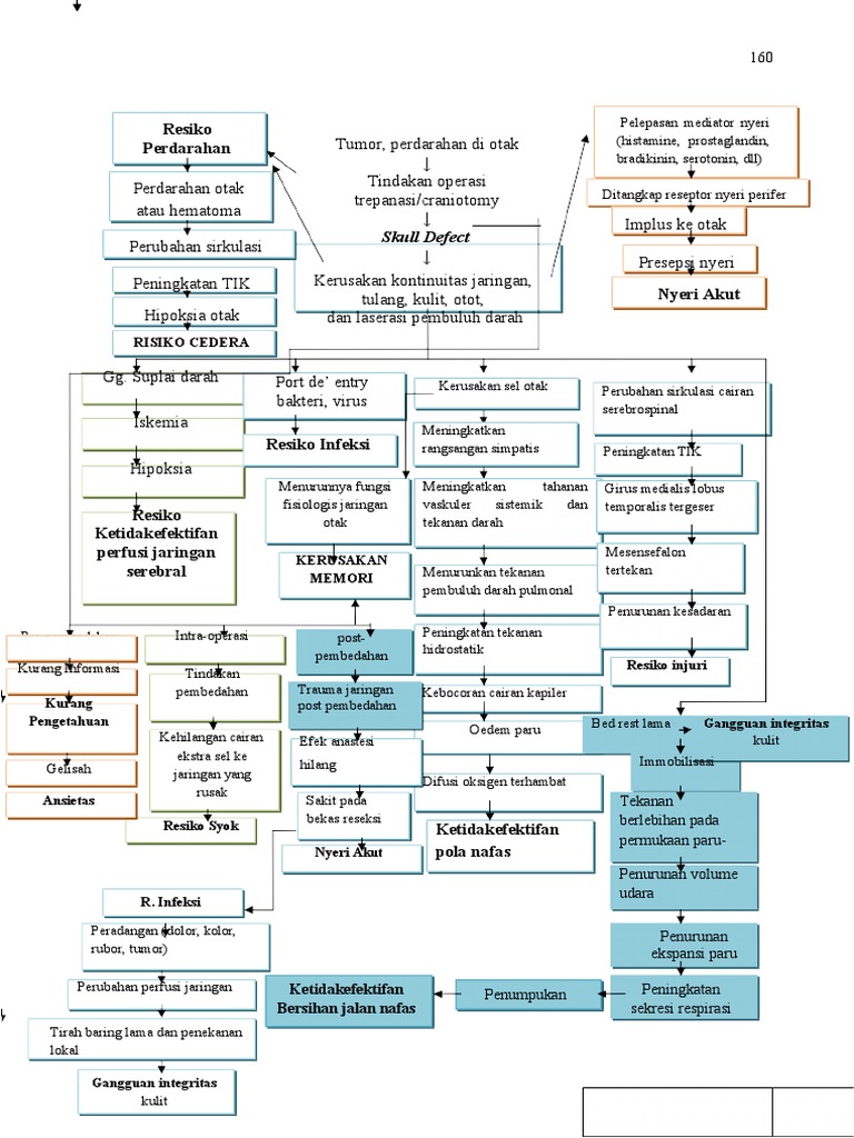 2 Pathway Skull Defect | PDF