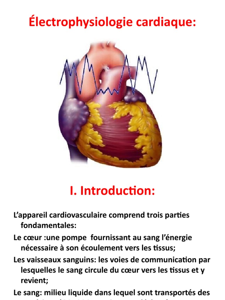 Électrophysiologie du cœur et automatisme | PDF | Contraction du muscle ...
