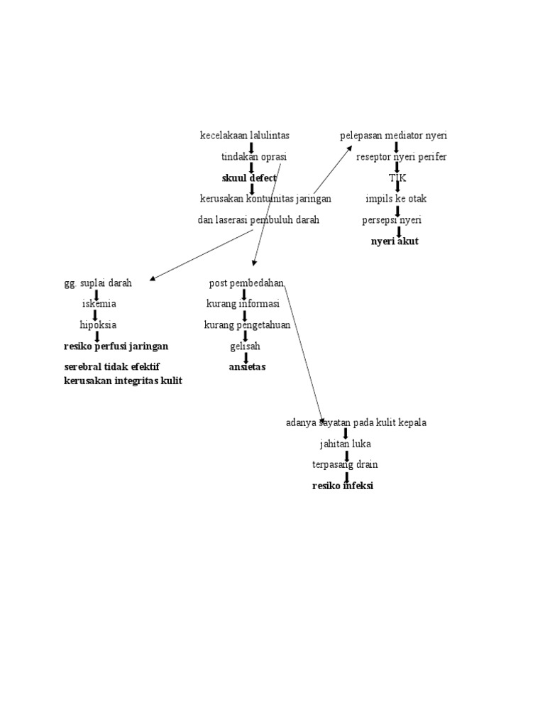 Pathway Kasus Skull Defect | PDF