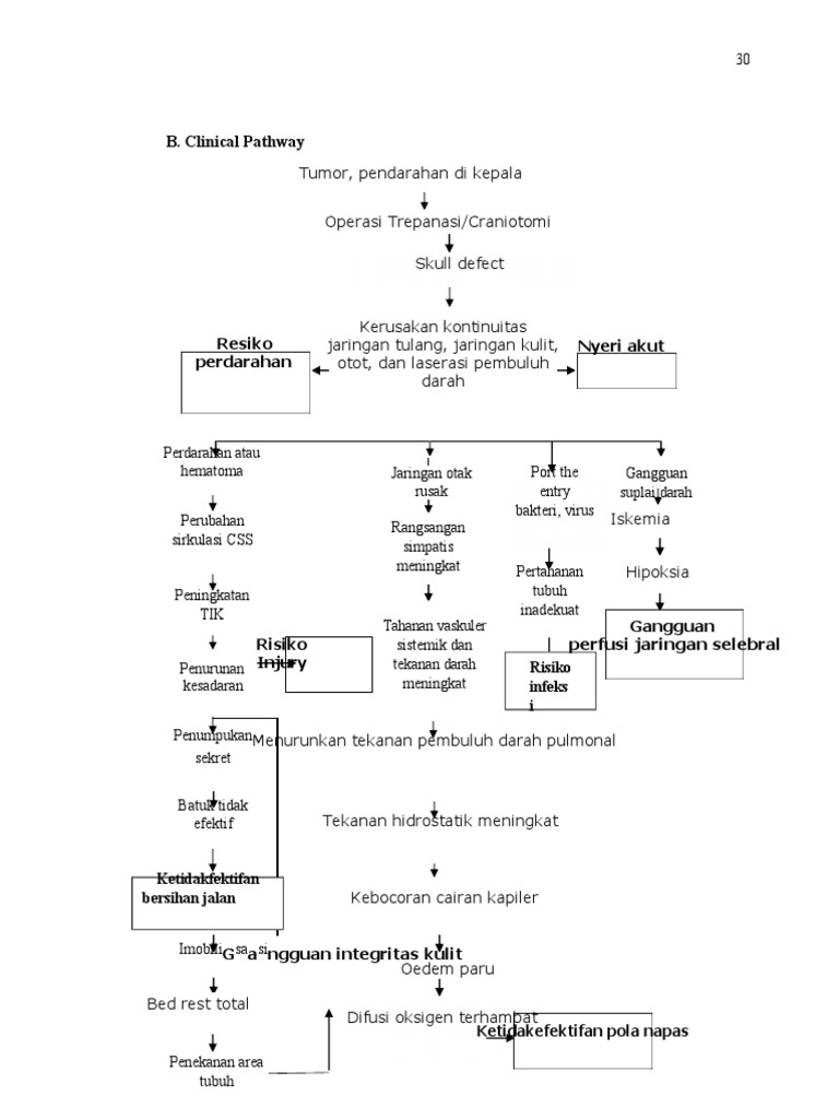 Pathway Skull Defect | PDF