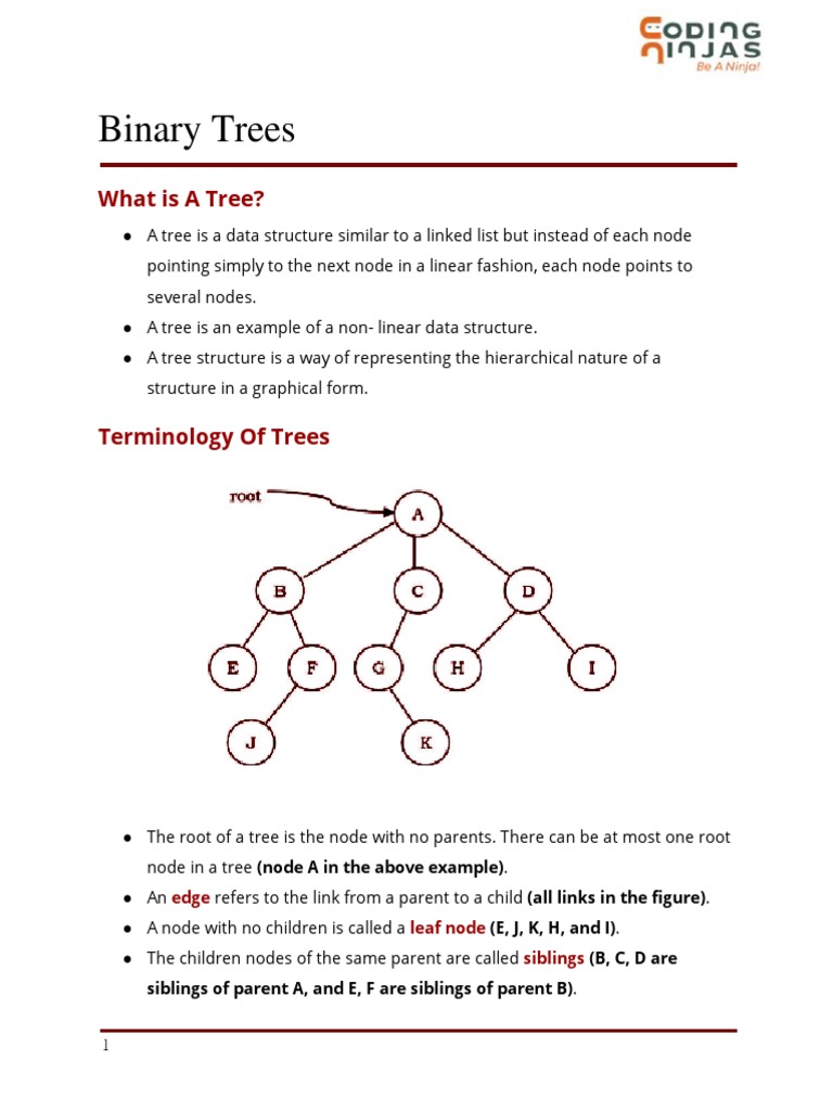 Binary Trees: What Is A Tree? | Download Free PDF | Software ...