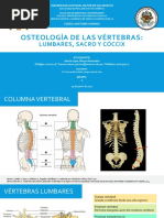 (Anatomía) Triángulos de Pirogoff y Béclard | PDF | Medicina CLINICA ...