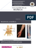 Articulación Radiocarpiana | PDF | Articulación | Extremidades (anatomía)
