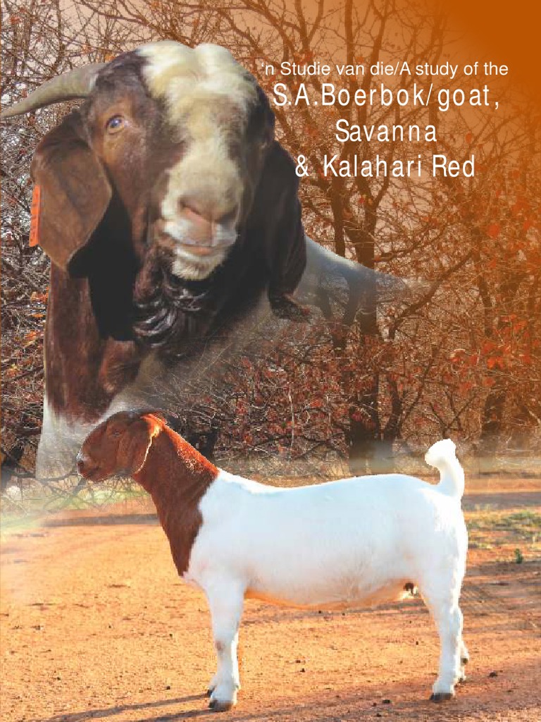 2018 Boerbok Studenteboek WEB | PDF