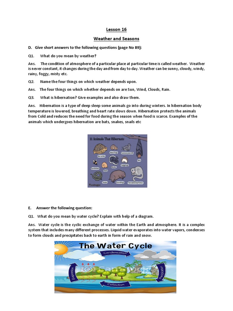 Question Answers (Weather and Seasons) | Download Free PDF | Weather ...