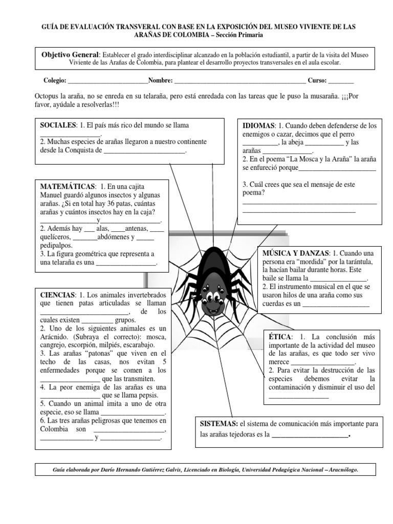 Evaluación del Museo Viviente de Arañas | PDF | Araña | Arácnidos