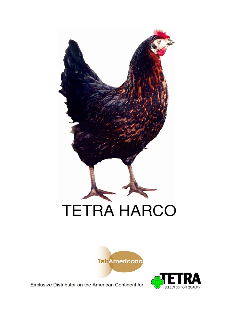 Tetra Harco | PDF
