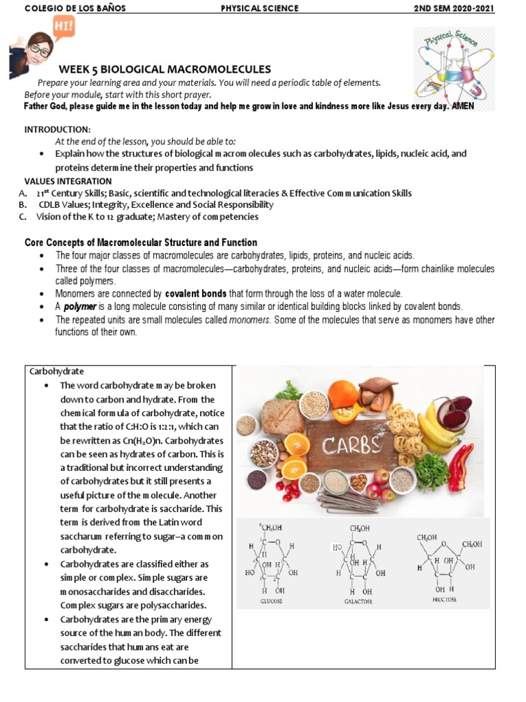 Biological Macromolecules Explained | PDF | Carbohydrates | Reaction Rate