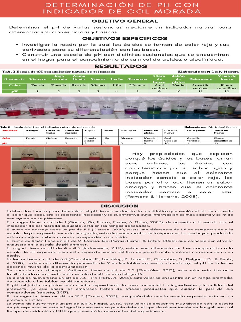 Determinación de PH Con Indicador de Col Morada | PDF | Ph | Comida y ...