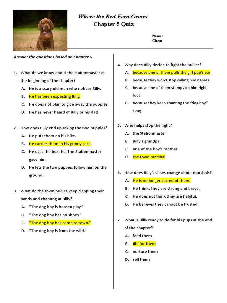 Where The Red Fern Grows: Chapter 5 Quiz | PDF