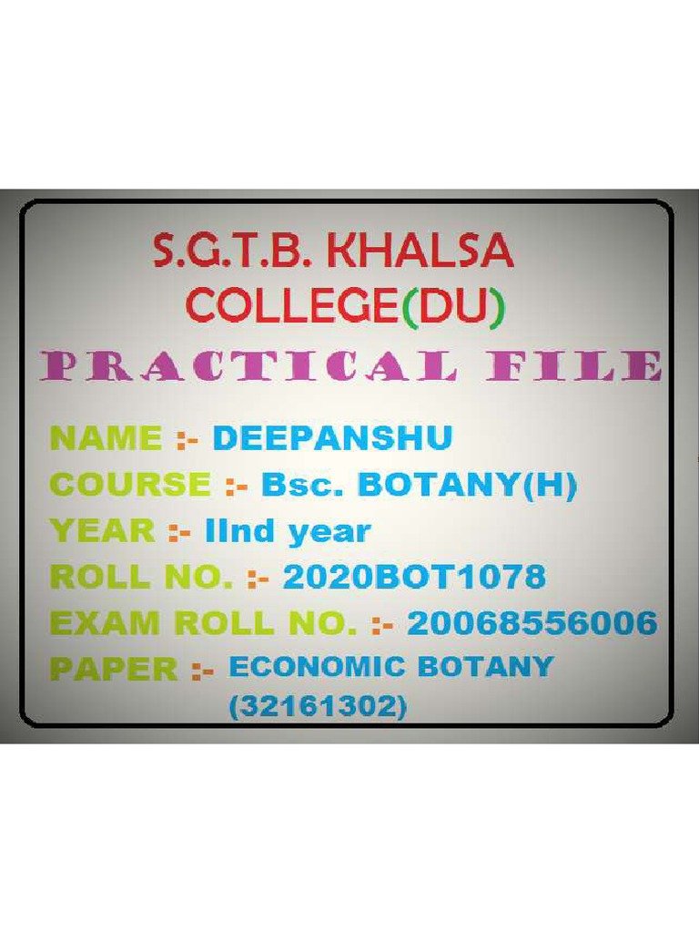 Deepanshu 2020bot1078 | PDF