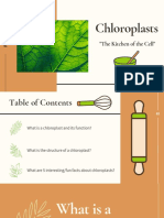 Chloroplast Labelled A Level Diagram | PDF | Chloroplast | Cell (Biology)