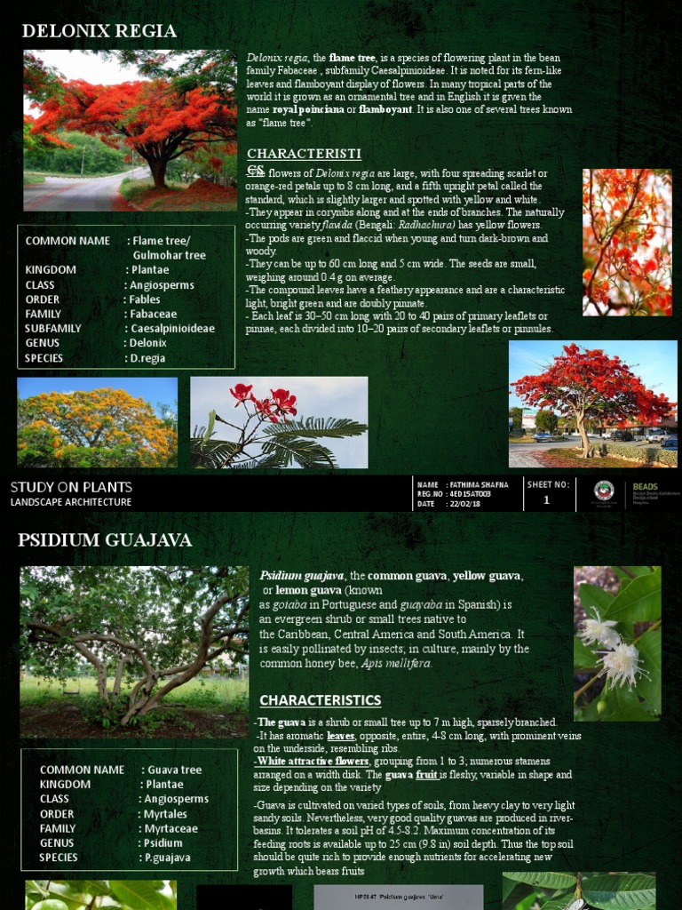 Botanical Names | PDF | Organisms | Branches Of Botany