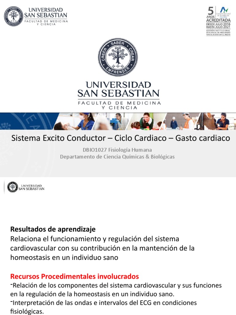 13-14-15 Sistema Excito Conductor | PDF | Corazón | Electrocardiografia