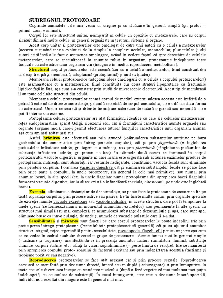 Zoo. Tema 1. Protozoa ROM | PDF
