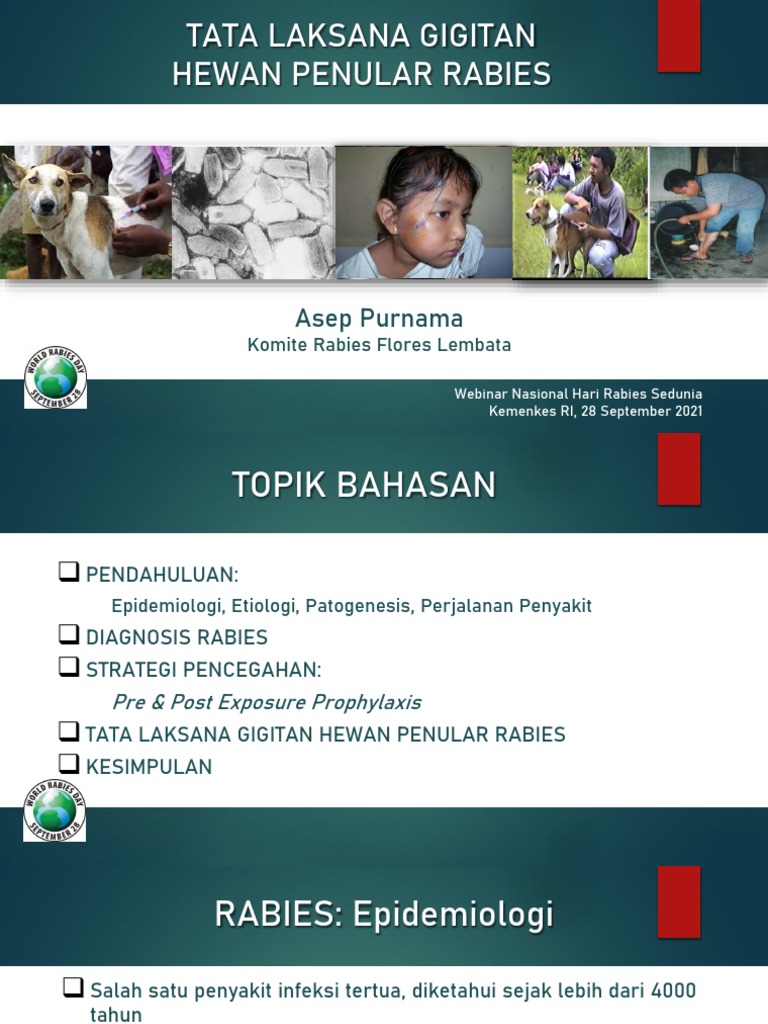 RABIES WRD 2021 Kemenkes HO | PDF