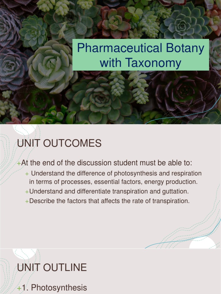Plant Physiology and Development | PDF | Photosynthesis | Cellular ...