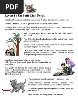 Tout Est Perdu Chat 826142 Nami Chat Perdu à LAVAL Chat Perdu