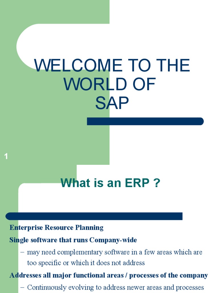 SAP Overview | PDF | Enterprise Resource Planning | Computing