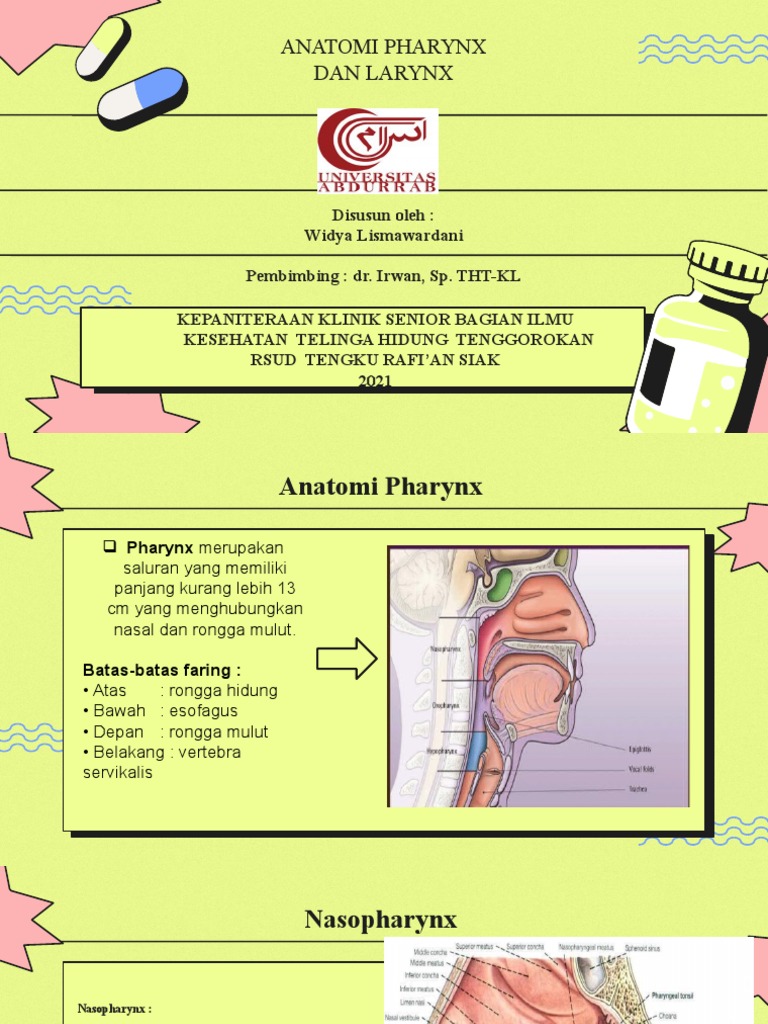 Anatomi Faring Dan Laring | PDF