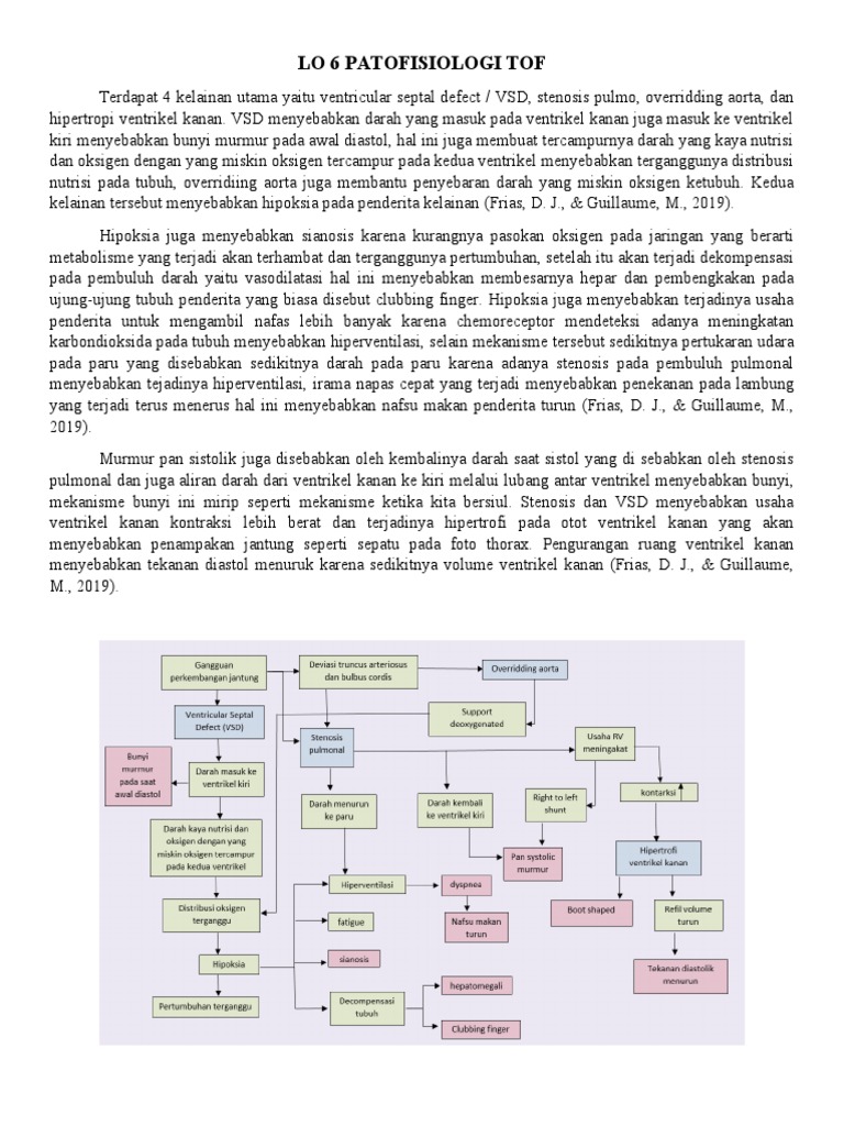 Lo 6 Patofisiologi Tof | PDF