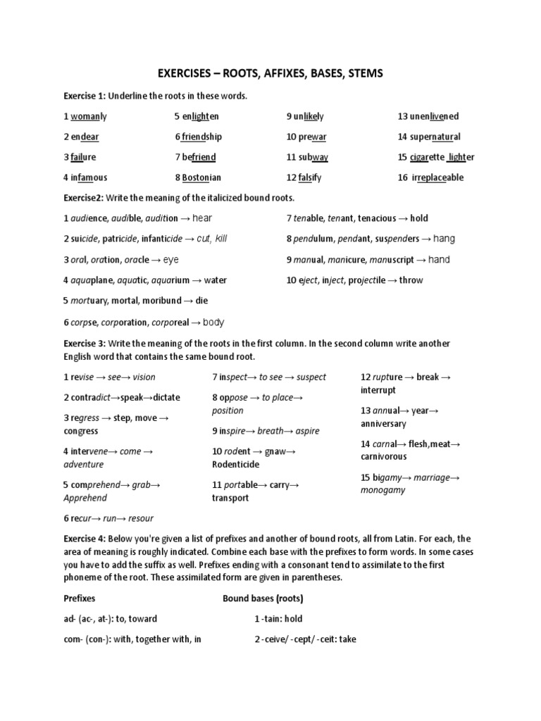 Exercises - Roots, Affixes, Bases, Stems: Position | PDF | Linguistic ...
