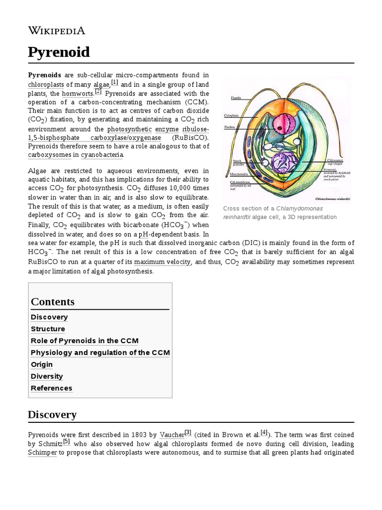 Pyrenoid: Pyrenoids Are Sub-Cellular Micro-Compartments Found in | PDF ...