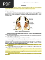 Structure des branchies des poissons | PDF | Branchie | Système ...