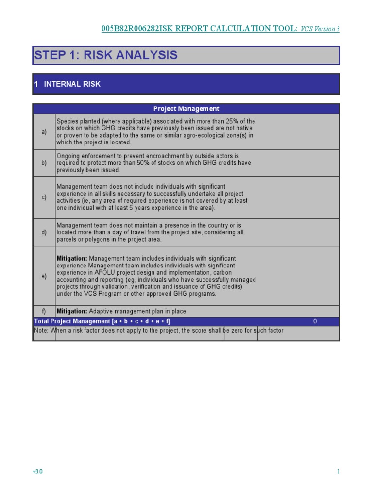 VCS Risk Assessment Calculation Tool | PDF | Net Present Value ...