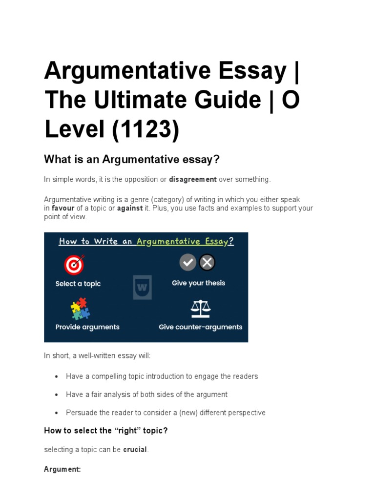 Argumentative Essay | PDF | Essays | Argument