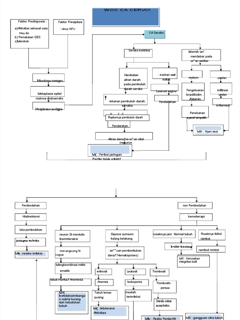 Woc CA Serviks | PDF