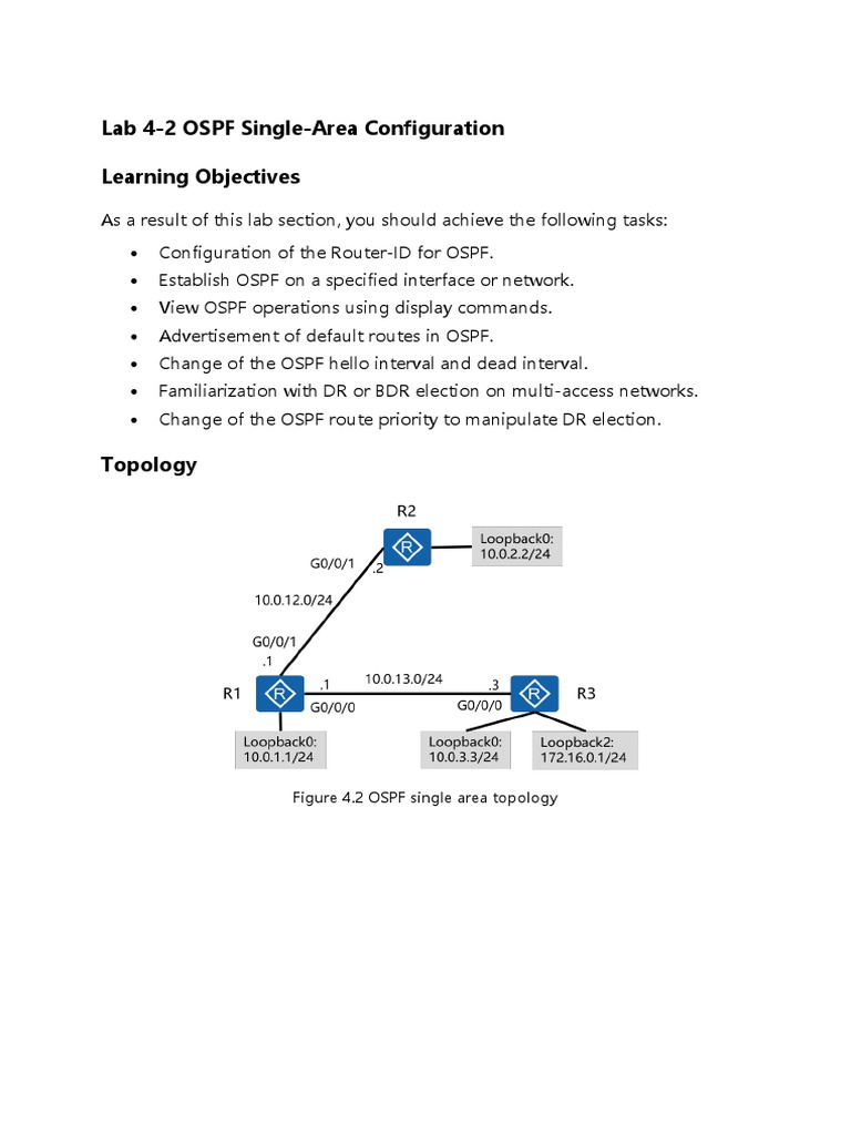 Lab OSPF | PDF | Telecommunications | Internet Architecture