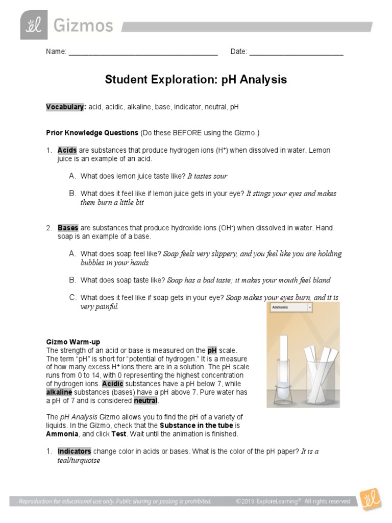 Student Exploration: PH Analysis | PDF | Ph | Physical Sciences