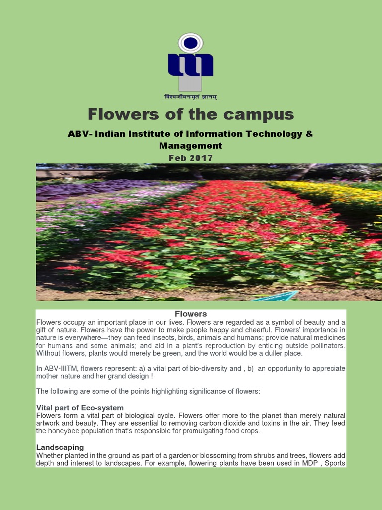 Campus Flower Varieties and Significance | PDF | Flowers | Plants